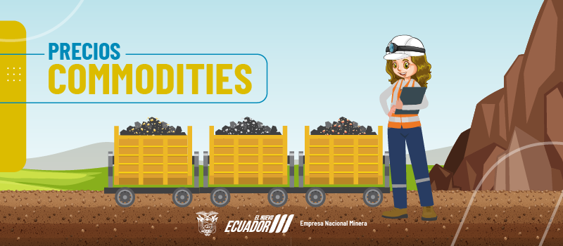 Empresa Nacional Minera ENAMI EP