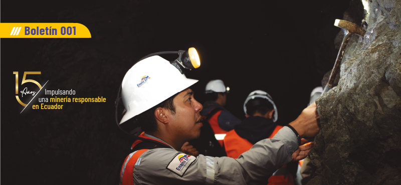 Empresa Nacional Minera ENAMI EP